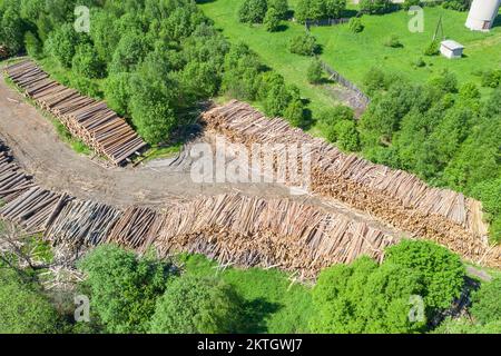 Top view of log trunks stacked in the forest along the road. Logging ...