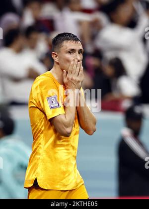 AL KHOR - Steven Berghuis of Holland and Vincent Janssen of Holland (LR ...