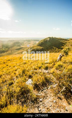 Yellow grassland plain with hills and vibrant blue cloudy sky. Empty ...