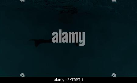 Abstract storm and dark terrifying giant wave revealing a shark ...