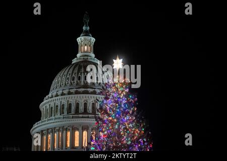 Washington, Vereinigte Staaten. 29th Nov, 2023. Jacquelyn D. Austin ...
