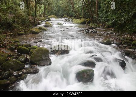 Pristine rivers and waterfalls in Savegre, Costa Rica Stock Photo - Alamy