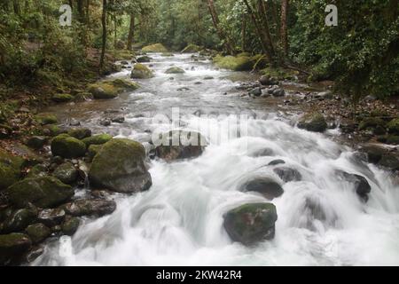 Pristine rivers and waterfalls in Savegre, Costa Rica Stock Photo - Alamy