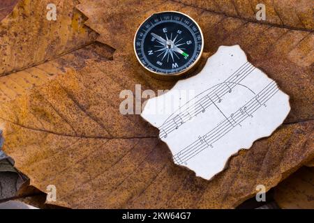 Compass an instrument and paper with musical notes placed on dry leaves ...