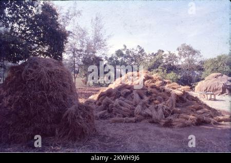 The process of removal of husk from the cotyledons is called dehusking ...