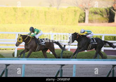 Hyogo, Japan. 27th Nov, 2022. Kazuo Yokoyama won the Canopus Stakes at ...