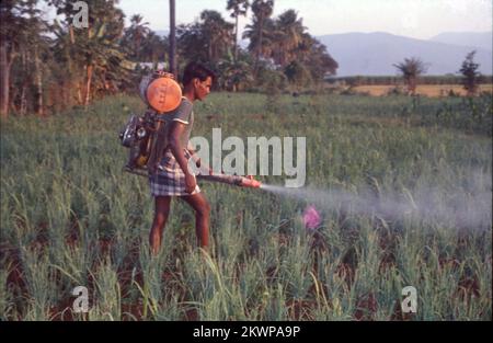 spraying and dusting, in agriculture, the standard methods of applying ...