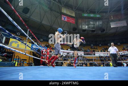 15.12.2013., Zagreb, Sports hall Drazen Petrovic - International ...