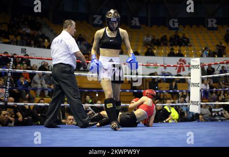 15.12.2013., Zagreb, Sports hall Drazen Petrovic - International ...