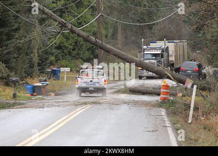 WA Wind Storm.. Photographs Relating to Disasters and Emergency ...