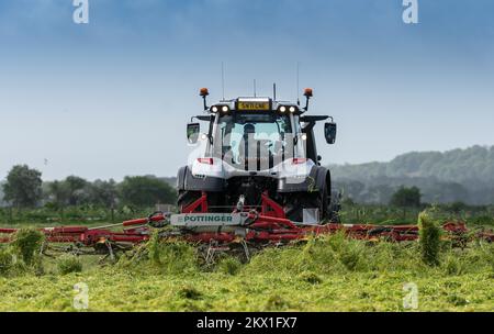 Contractor driving a Valtra tractor and spreading grass in a silage ...
