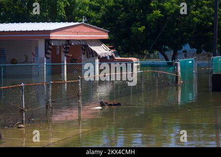 Mudslide/Landslide Severe Storm - Cabo Rojo, Puerto Rico, October 1 ...