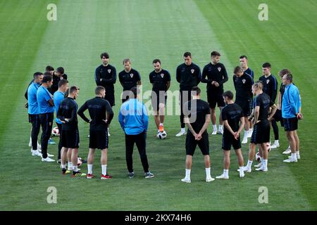 Vedran Corluka, Drazen Ladic and Josip Stanisic of Croatia during the ...