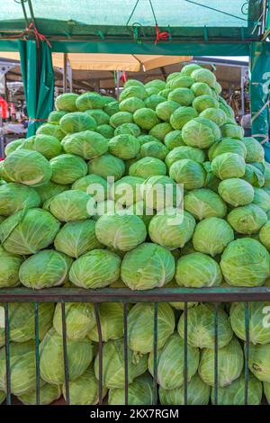Big pile of green fresh cabbage in the refrigerated warehouse. Storage ...