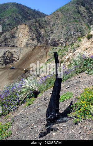 soil erosion and landslide because of storms and heavy rainfalls soil ...