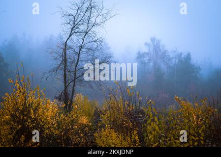 Foggy Dirt Road Beautiful Scene Misty dusk beech Autumn landscape ...