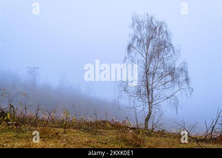 Foggy Dirt Road Beautiful Scene Misty dusk beech Autumn landscape ...