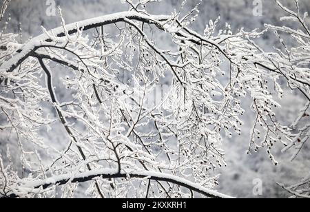 Winter weather on Medvednica mountain near Zagreb Croatia on 25 ...