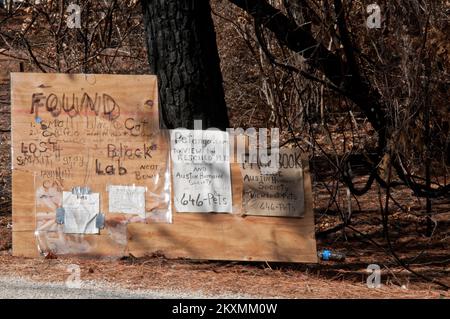 01110111 After the wildfires in Texas,recovery begins. Texas Wildfires ...