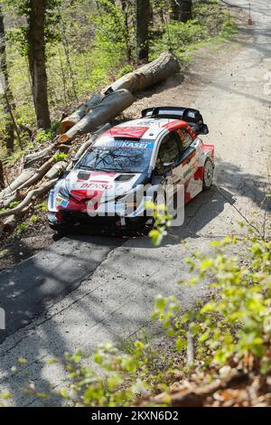 Elfyn EVANS ,Scott MARTIN , TOYOTA GAZOO RACING Stock Photo - Alamy