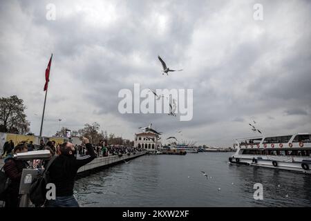 Istanbul, Turkey. 30th Nov, 2022. A fishing boat seen docking at ...