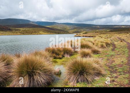 Scenic view of Lake Ellis on Chogoria Route, Mount Kenya National Park ...