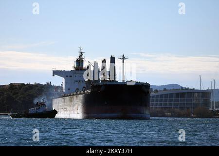 Cargo ship ASL FORTUNE, the largest cargo ship that ever sailed into ...