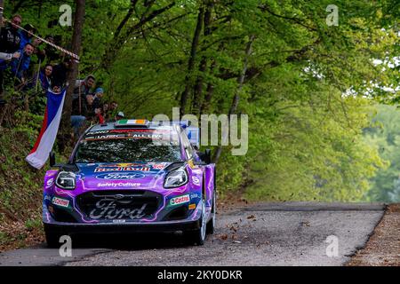 Shakedown, BREEN ,Paul NAGLE,M-SPORT FORD WORLD RALLY TE Stock Photo ...