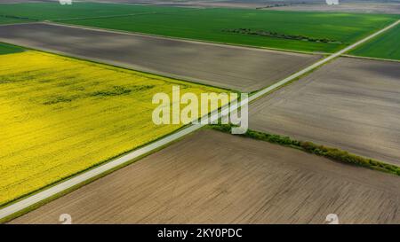 An aerial view shows a rapeseed field in Osijek, Croatia on April 27 ...