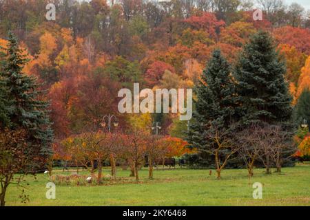 Beautiful landscape of the autumn city of Kiev. River View Stock Photo ...