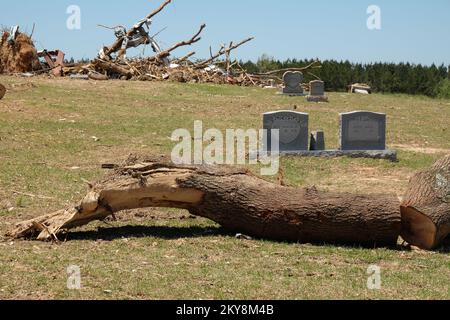 Lewisville, MS tornado Damage. Mississippi Severe Storms, Tornadoes ...
