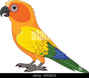 Cartoon Conure Jenday Parakeet on White Background Stock Vector Image ...