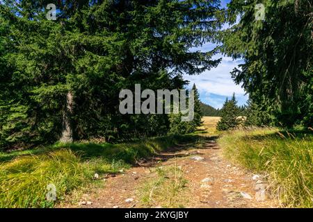 Trekking in the mountains of Slovenia, at Smrekovec region Stock Photo ...