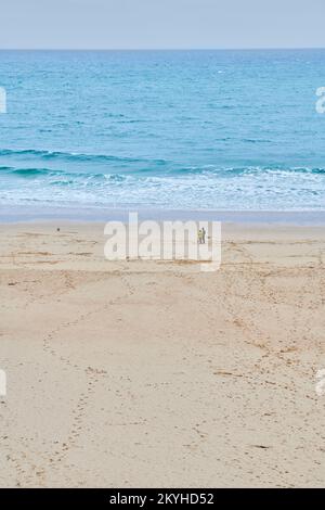 A couple with their dog on the beach at Porthcurno Bay, Cornwall ...