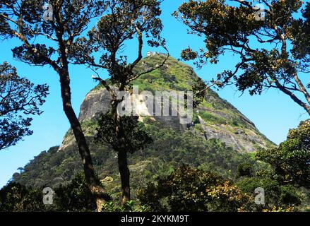 Sri Pada also known as Adam s Peak in Sri Lanka s hill country Stock ...