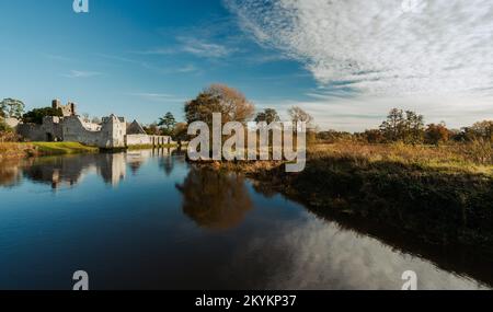 Ruins Of Desmond Castle in county Limerick, Ireland Stock Photo - Alamy