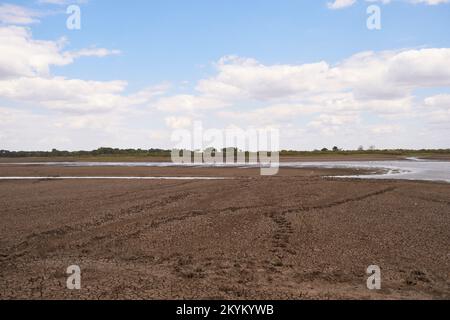 A drying watering hole with low water level in Nyerere national park ...