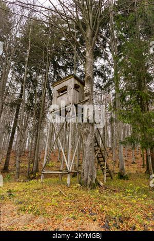 Hunting observation post in the forest in autumn Stock Photo - Alamy