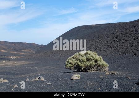 Black cinder cones, created by an eruption of the Fasnia volcano in ...