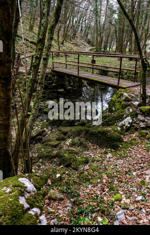 Little white bridge over a stream Stock Photo - Alamy