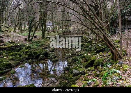 Little bridge over little stream Stock Photo - Alamy