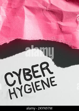 Conceptual display Cyber Hygiene, Business overview steps that computer ...