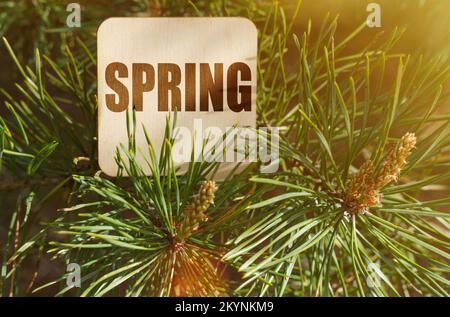 Ecology concept. Among the pine branches is a sign with the inscription ...
