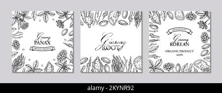 Set of hand drawn ginseng packaging designs. Botanical vector ...
