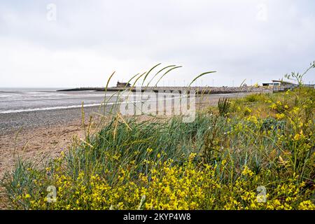 Coastal view, Morecambe Bay Stock Photo - Alamy