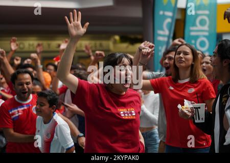 San Jose, Costa Rica. 01st Dec, 2022. Soccer, World Cup 2022 in Qatar ...