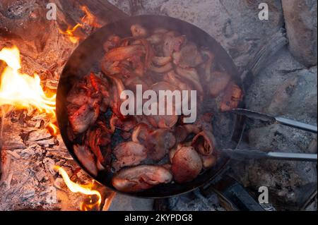 Australian style bacon being cooked over a camfire with silver tongs ...