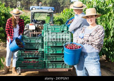 Woman carrying bucket with sweet cherry Stock Photo - Alamy