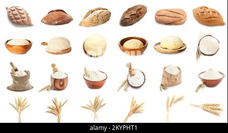 Collage of crunchy loaves of bread with wheat spikelets, fresh flour ...