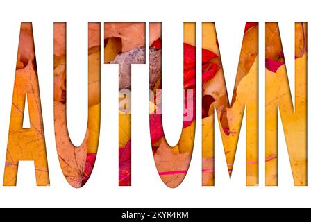 Mighty Autumn leaves, objects with Autumn text. Natural patterns, color ...